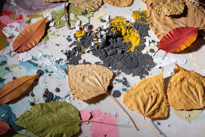 Abstract Autumn Texture of Dry Leaves and Colorful Paint Stock Photo ...