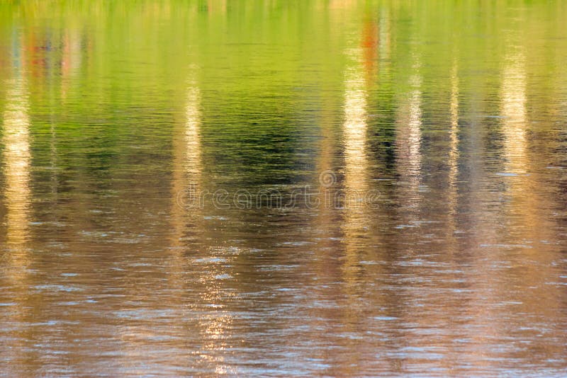 Reflection of Trees in Clean Water Waves Stock Image - Image of clean ...
