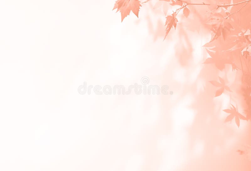 Red Color Shades Vector Illustration with Color Hex Code, Twenty ... Red Color Shades Vector Illustration with Color Hex Code, Twenty ...