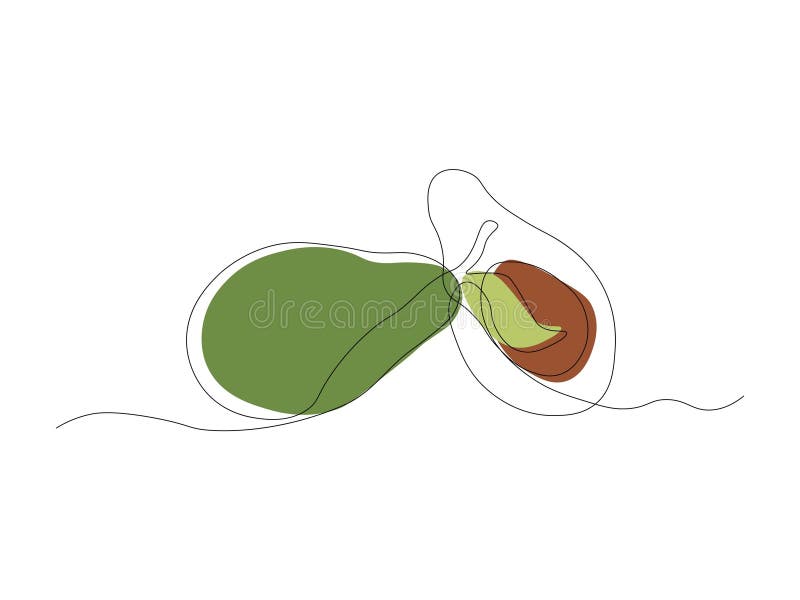 Avocado Continuous Line Drawing Vector Stock Vector - Illustration of ... Avocado Continuous Line Drawing Vector Stock Vector - Illustration of ...