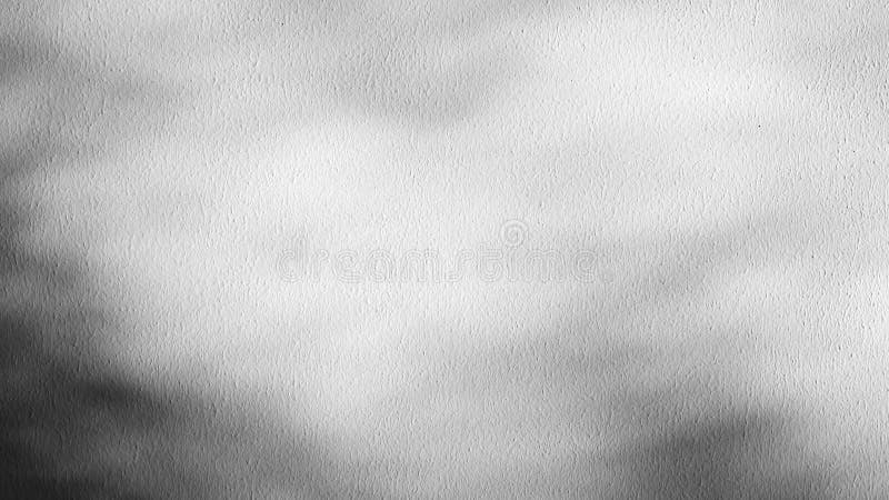 Abstract Backdround, Tree Leaves Silhouette Shadows in Slow Motion on ...