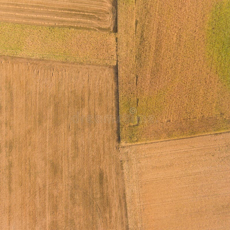 Abstract background stock image. Image of lines, agriculture - 101958327