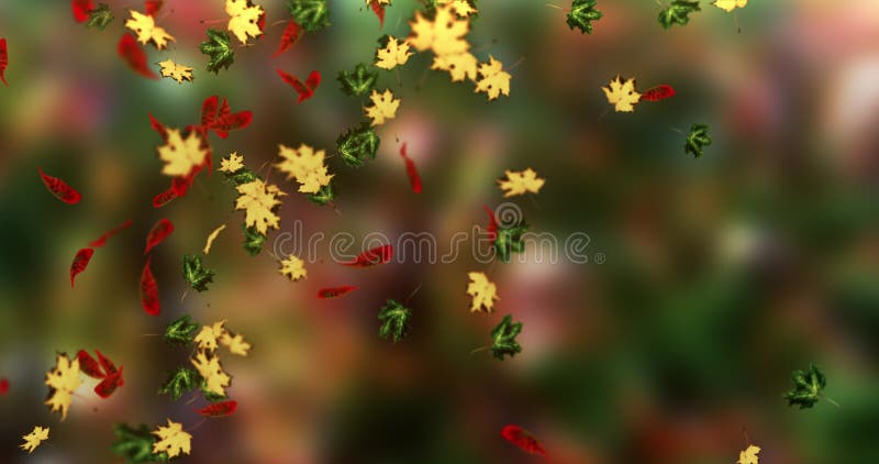 Abstract Background with Animation of Autumn Stock Video - Video of ...