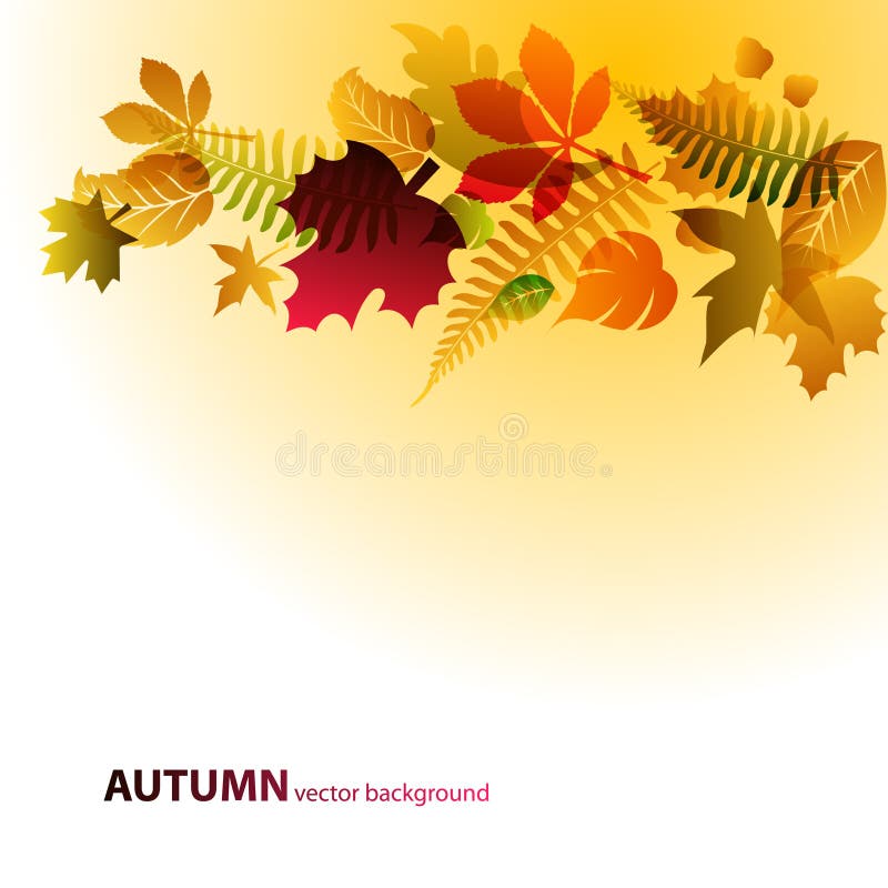 Abstract Background with Autumn Leaves Stock Vector - Illustration of ...