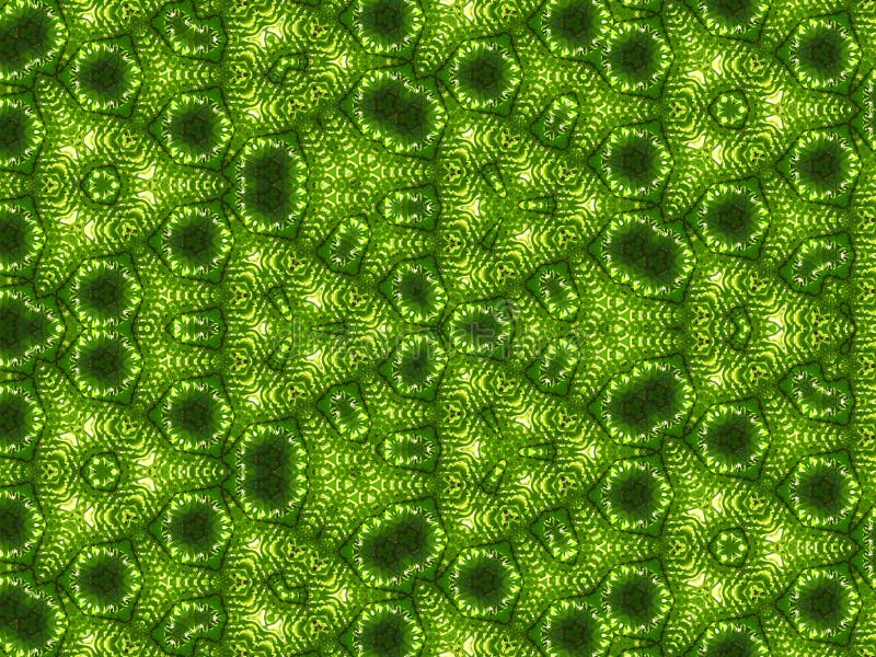 Abstract Background with Beautiful Green Patterns - Perfect for ...