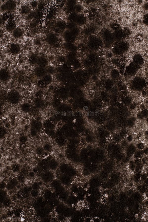Mould Background stock photo. Image of culture, grime - 2221058