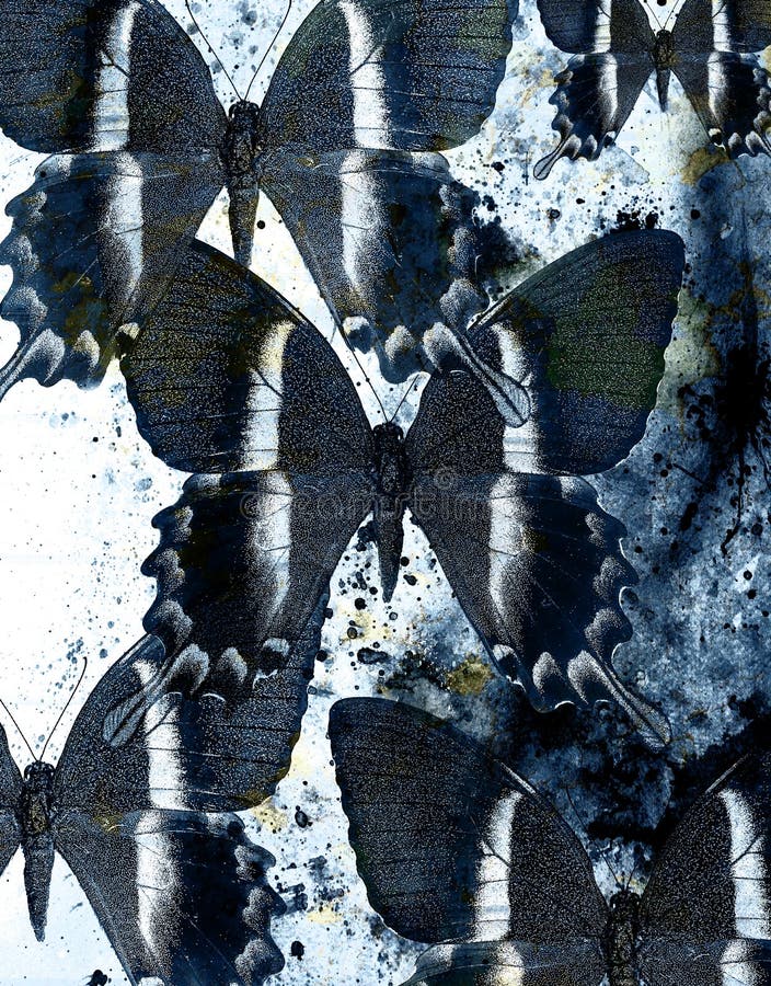 Butterfly collage stock illustration. Illustration of color - 3869888