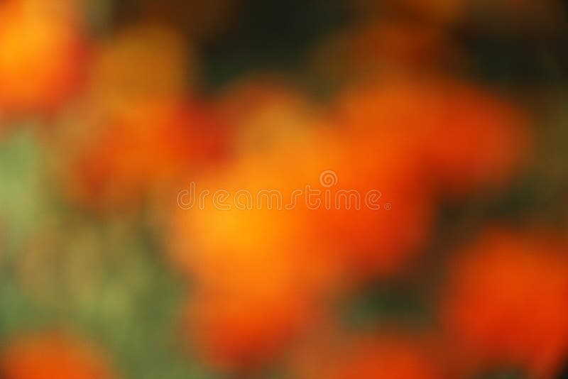 Abstract Background Blurred Orange Color Effect. Stock Image - Image of ...