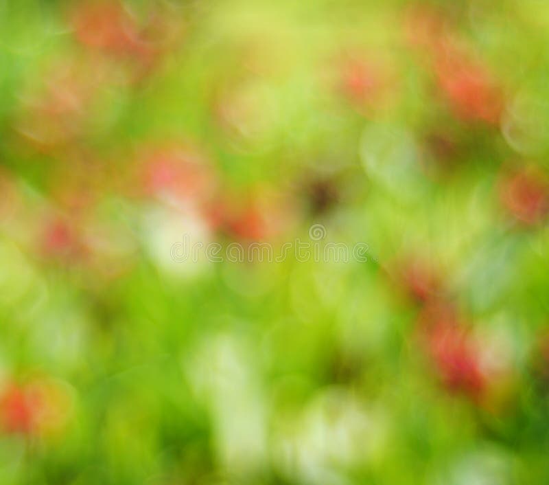 Abstract background boke stock image. Image of beautiful - 29352037