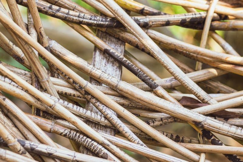 Abstract Wooden sticks stock photo. Image of sticks, shape - 10810626