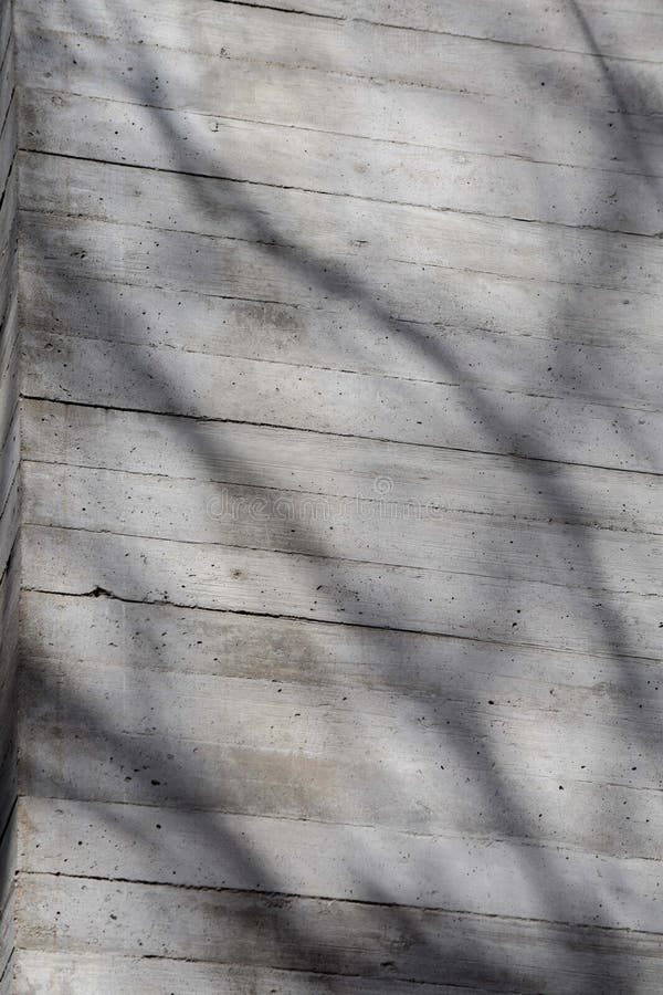 Row of trees with shadows stock image. Image of brown - 255539911