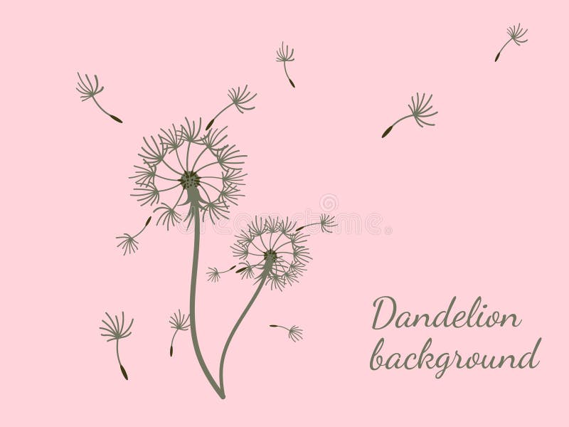Abstract Background Dandelion Design for Decoration Design. Stock ...