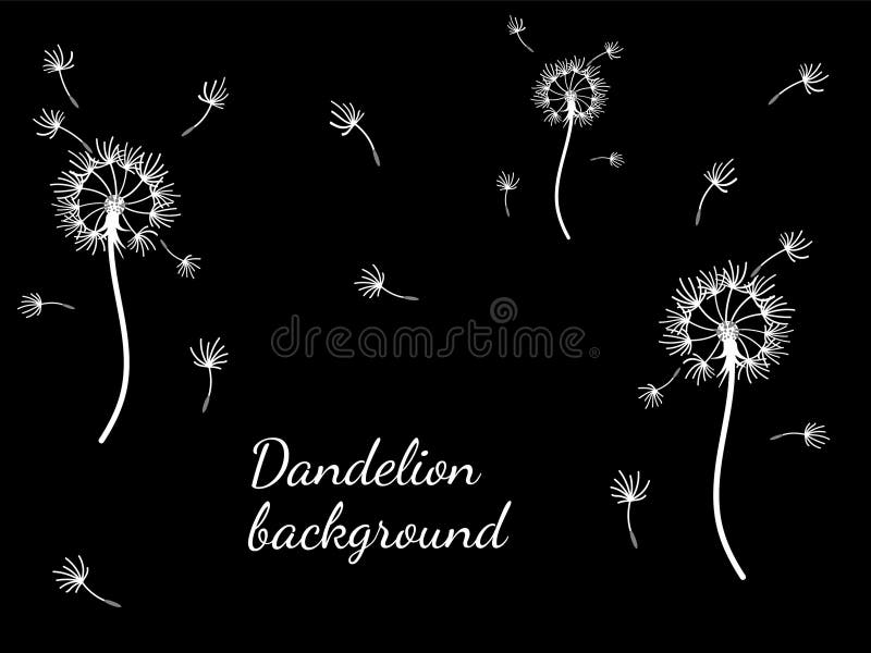 Abstract Background Dandelion Design for Decoration Design. Stock ...