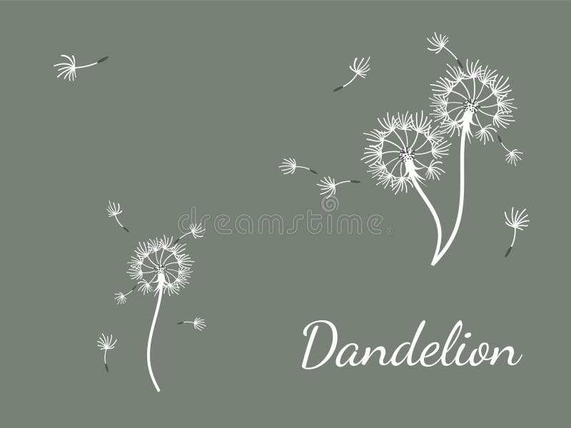 Abstract Background Dandelion Design for Decoration Design. Stock ...