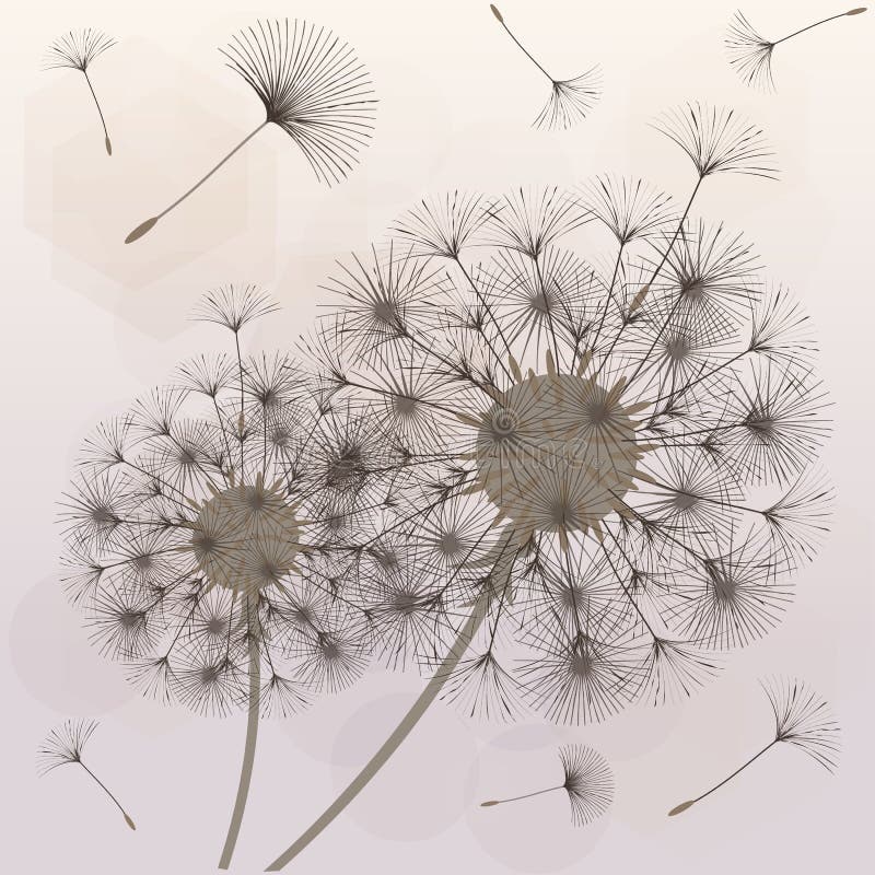 Abstract Background of a Dandelion for Design. Stock Vector ...