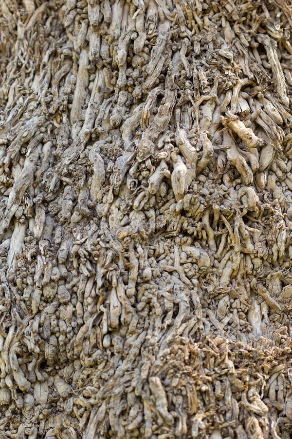 Abstract Background stock image. Image of backdraft, abstract - 48170951