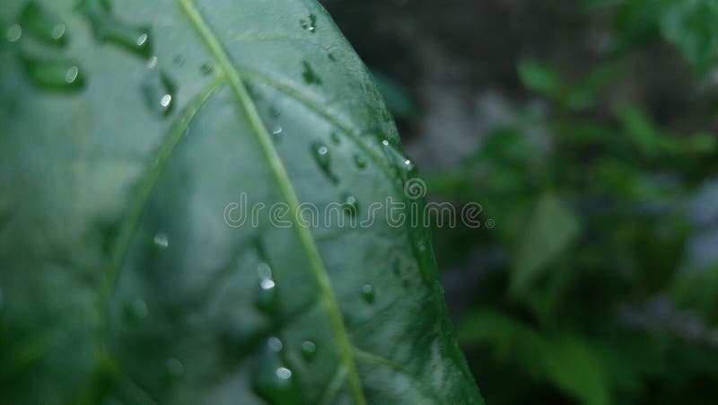 Abstract Background Design for Eye-Catching Digital Art Vibrant ...