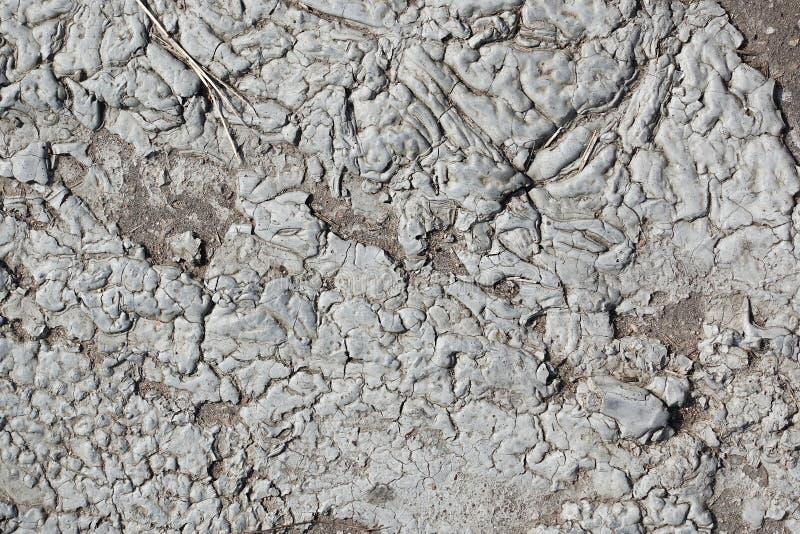 Abstract Background. Dried Gray Paint Dried with Relief Patterns Stock ...