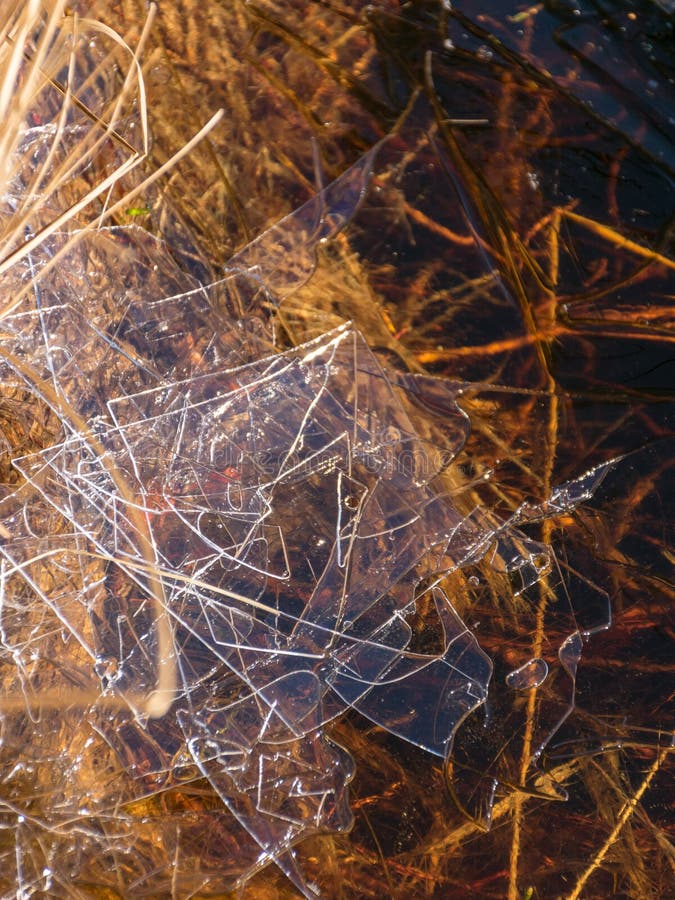 Abstract Background with Dry Grass, Thin Ice and Water Textures Stock ...