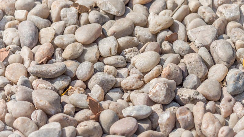 Abstract Background with Dry Round Pebbles Stock Image - Image of ...