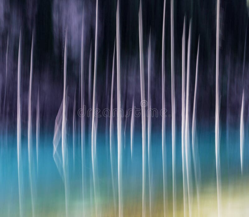 Abstract Background of Empty Trees Blurred Stock Photo - Image of ...