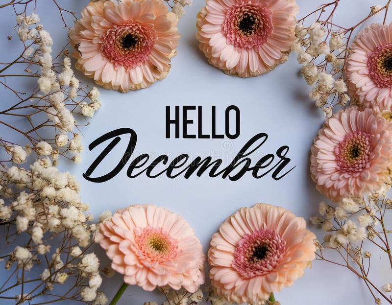 Abstract Background with Flowers Frame Around. Hello December - Modern ...