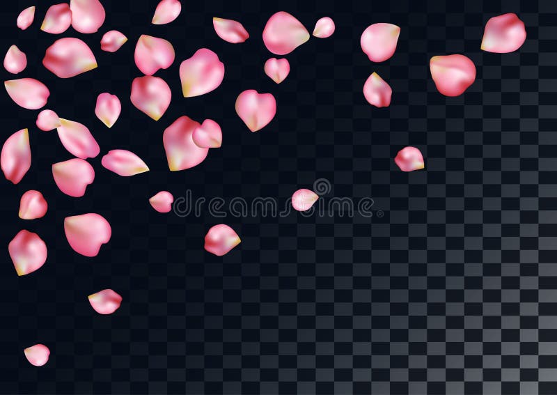 Abstract Background with Flying Pink Rose Petals. Stock Illustration ...