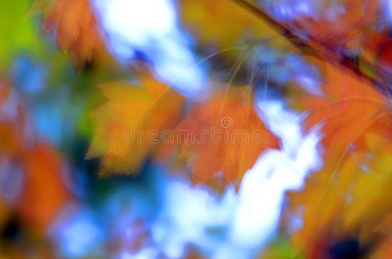 Abstract Background Formed by Leaves of Trees Moved by the Wind ...