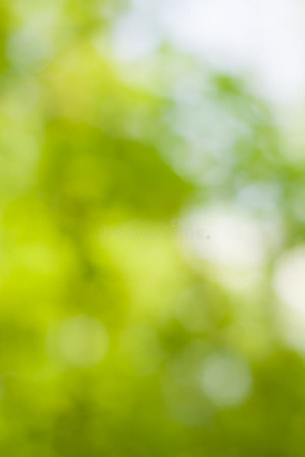 Abstract Background Green Bokeh Circles. Beautiful Background with ... Abstract Background Green Bokeh Circles. Beautiful Background with ...