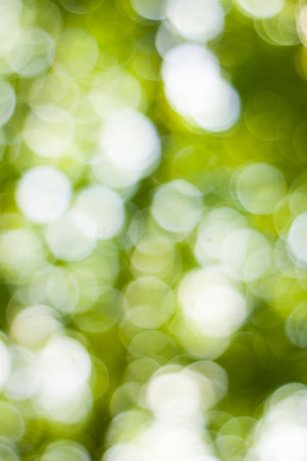 Abstract Background Green Bokeh Circles. Beautiful Background with ... Abstract Background Green Bokeh Circles. Beautiful Background with ...