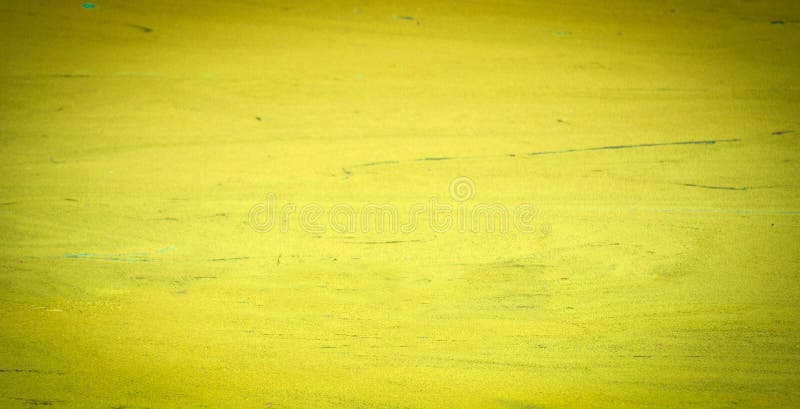 15,056 Background Picture Presentation Green Color Stock Photos - Free ...