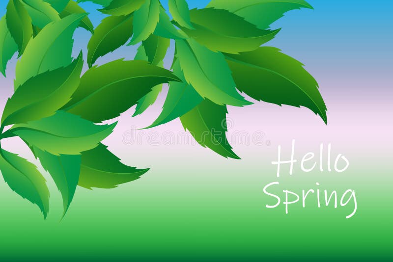 Hello Spring Text Green Leaf Stock Illustrations – 2,806 Hello Spring ...