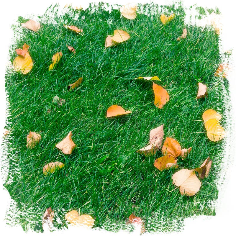 Abstract Background of Green Grass and Yellow Autumn Leaves Stock Photo ...