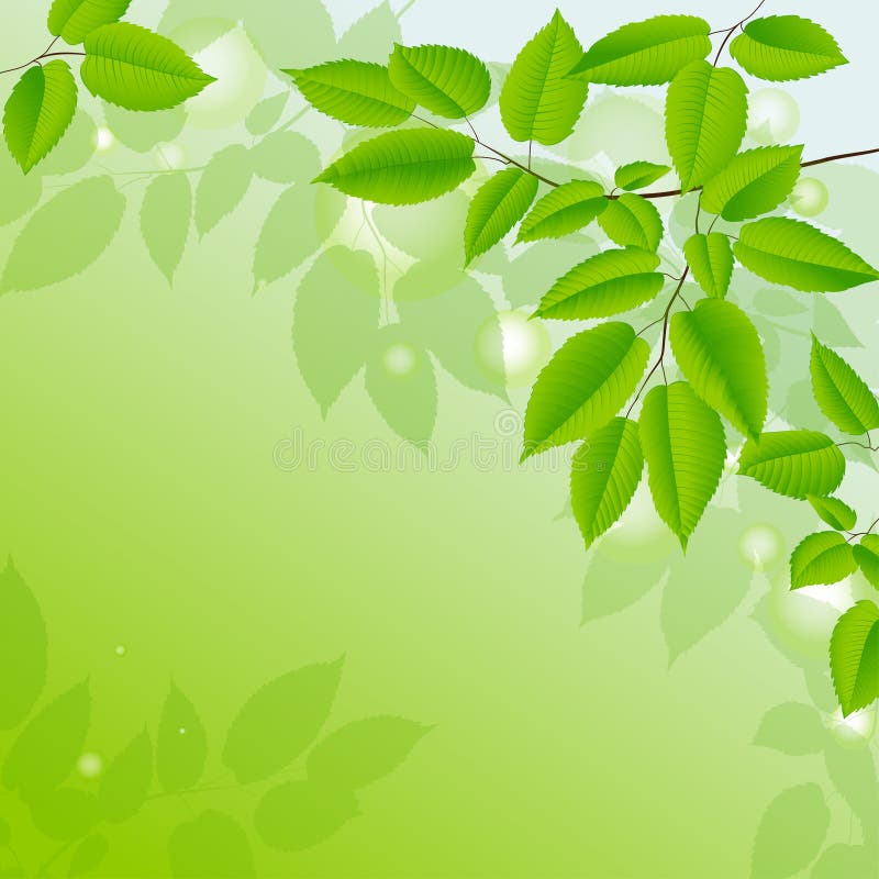 Abstract Background with Green Leaves. Stock Vector - Illustration of ...