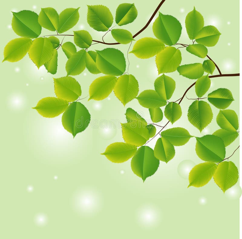 Abstract Background with Green Leaves. Stock Vector - Illustration of ...