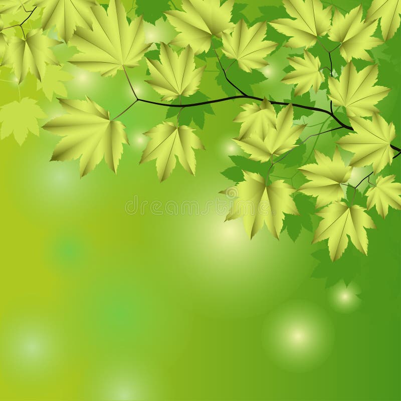 Abstract Background with Green Leaves. Stock Vector - Illustration of ...