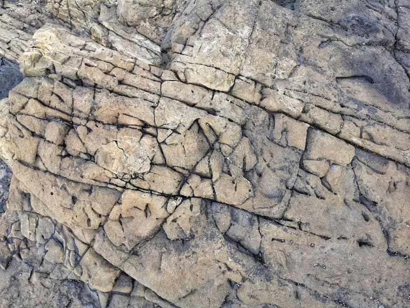 145 Mudstone Wall Stock Photos - Free & Royalty-Free Stock Photos from ...