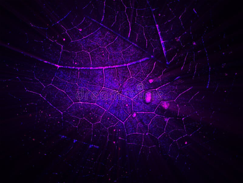 Violet magic leaf. stock image. Image of design, leaf - 137430123