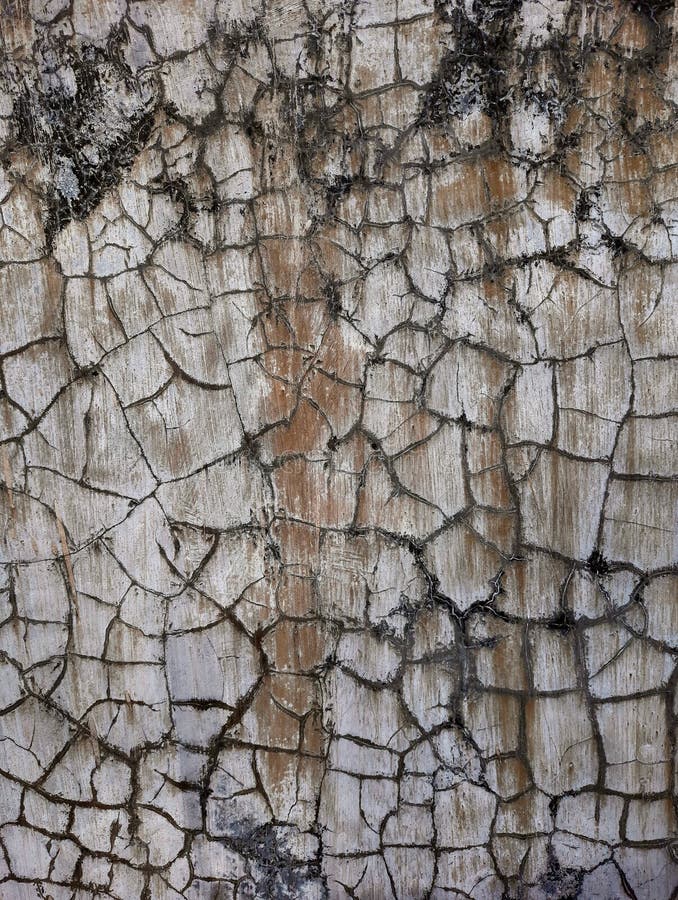 Irregular Petterns Stock Photos - Free & Royalty-Free Stock Photos from ...