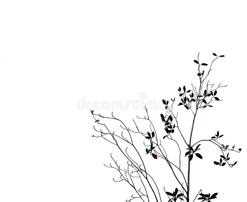 Abstract Background with Leaves Silhouette Texture Pattern Stock ...