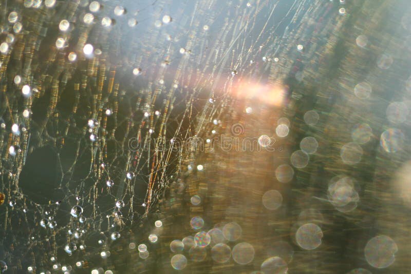 Abstract Background - Light Color Flashes and Rays on Black. Lens Flare ...