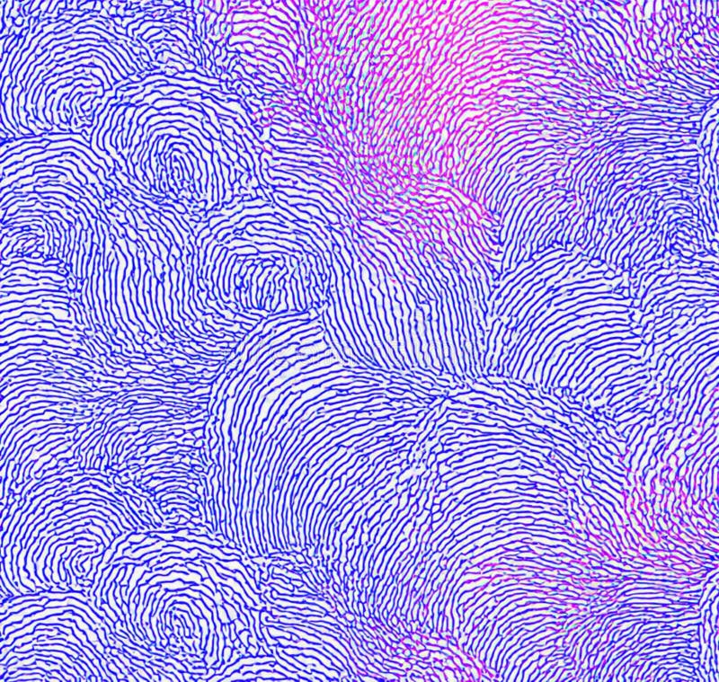 Abstract Background of Line Art or Fingerprint Pattern Stock ...