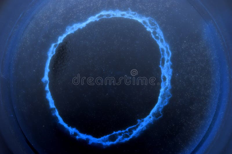 Abstract Background Macro Organic Oval Frame, Resembling an Expanding ...