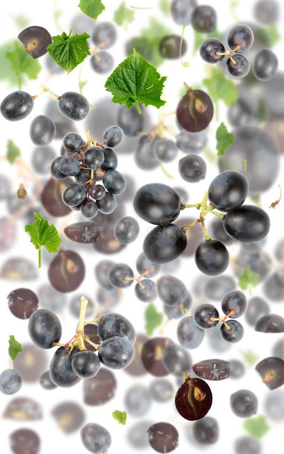 Blue Grape Slice and Leaf Abstract Stock Image - Image of collection ...