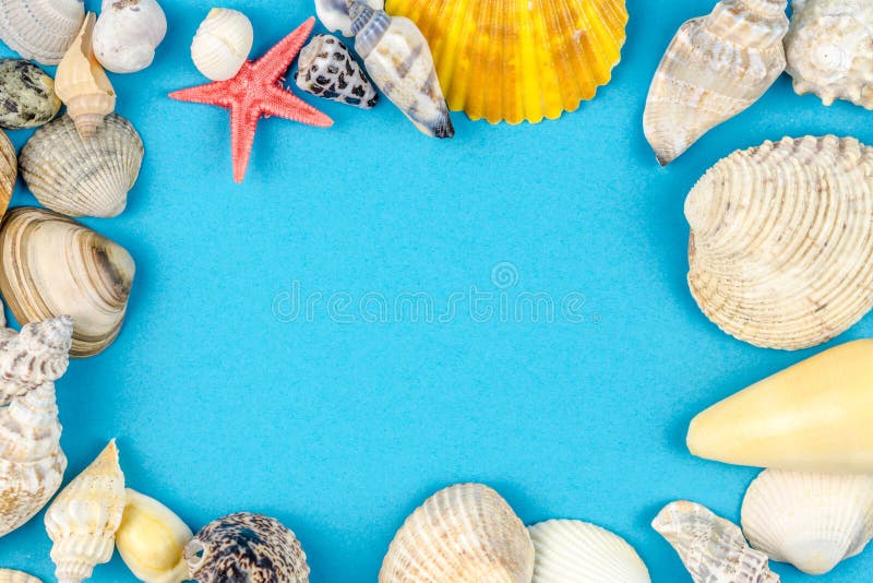 Abstract Background Made of Shells Blue Background Stock Image - Image ...