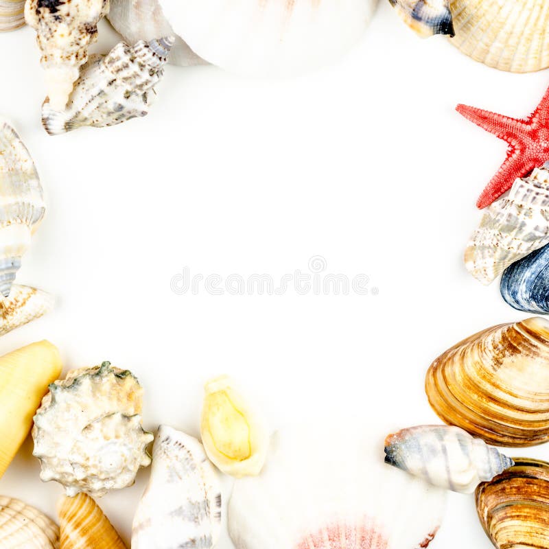 Abstract Background Made of Shells White Background Stock Image - Image ...