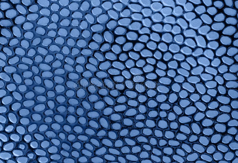 Abstract Background of Matte Rounded Spots on a Glossy Surface Toned ...