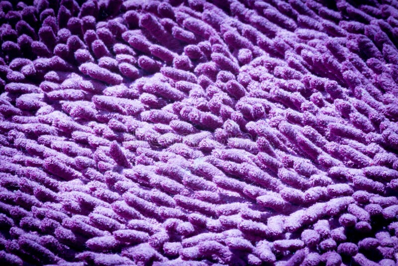 Abstract Background of Microfiber Fabric Texture Stock Image - Image of ...