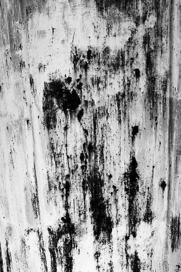 Abstract Background. Monochrome Texture Stock Photo - Image of card ...