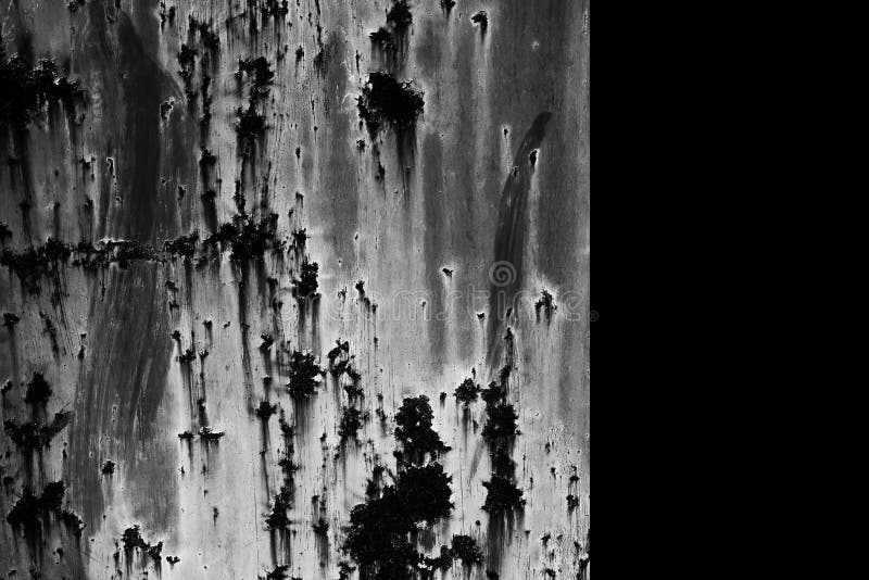 Abstract Background. Monochrome Texture Stock Image - Image of surface ...